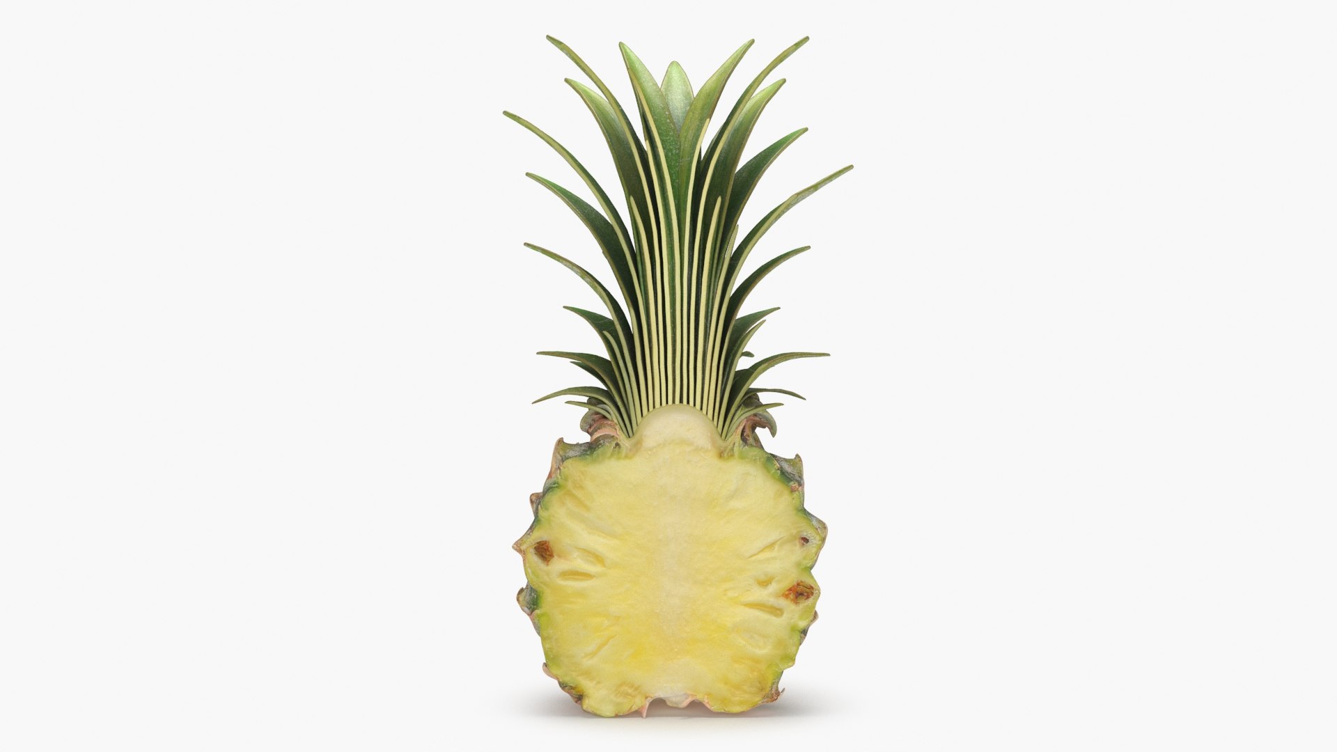 Half Pineapple 3D - TurboSquid 2087116