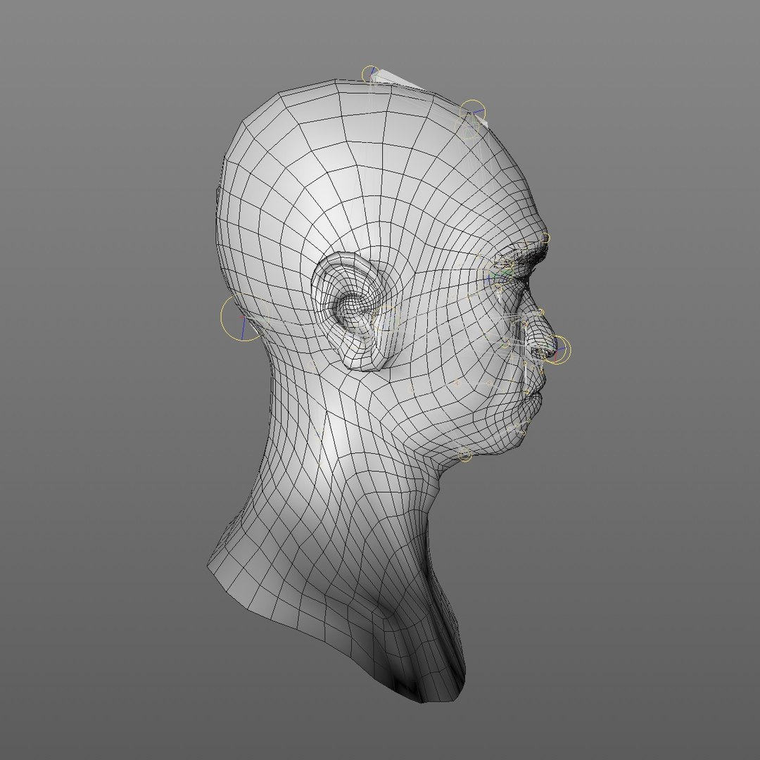 3D realistic head base mesh - TurboSquid 1438800
