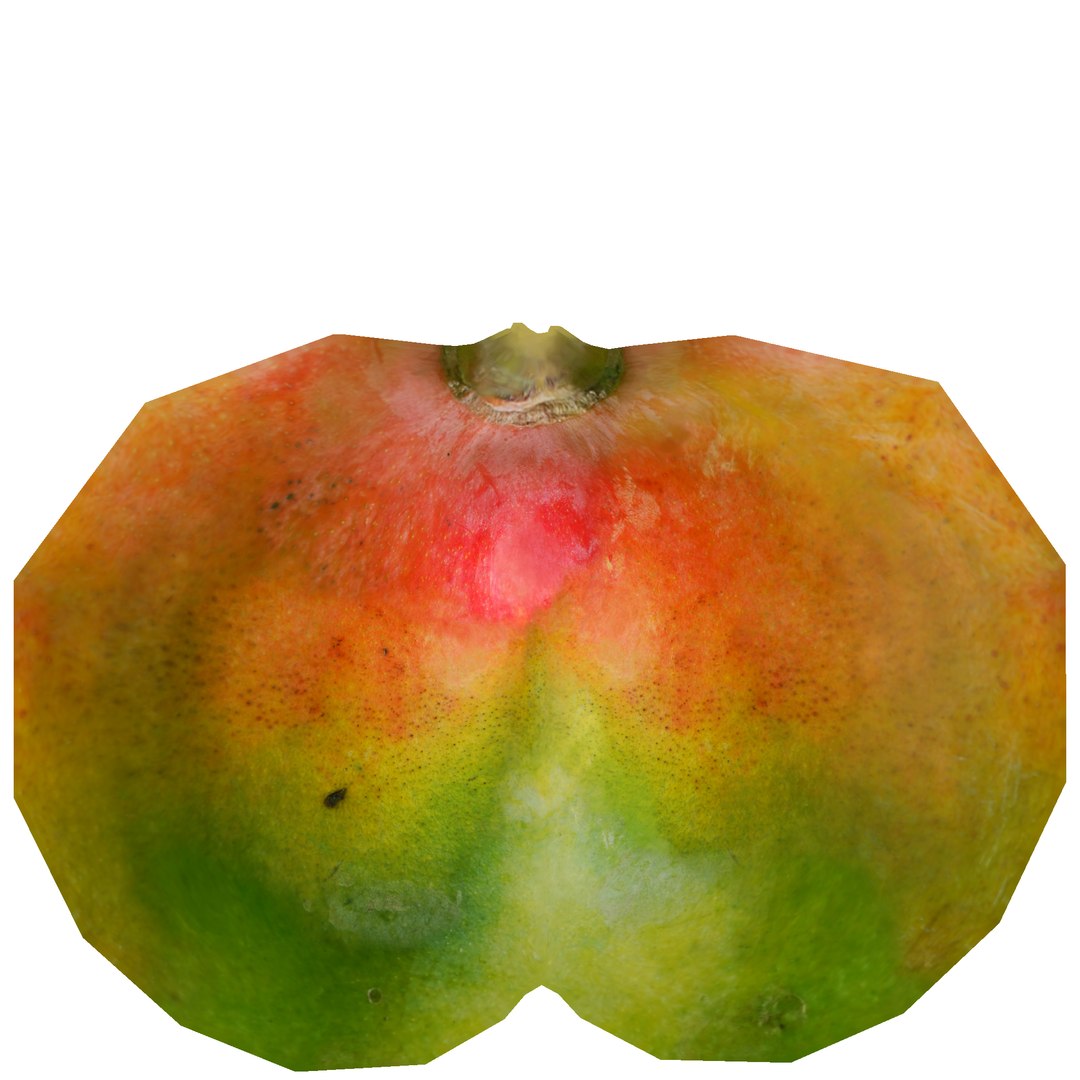 3d model photorealistic mango