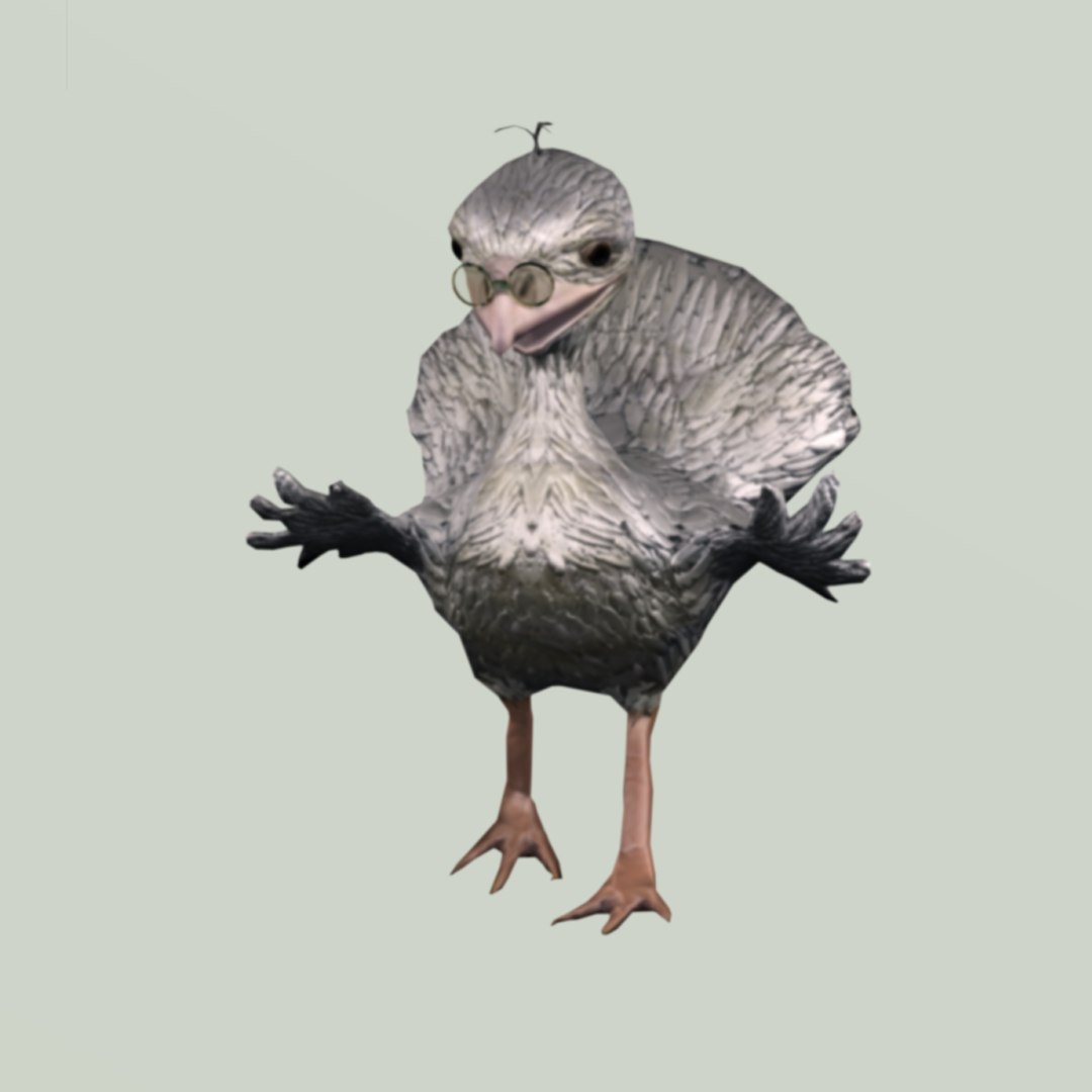 3d Old Bird Animation