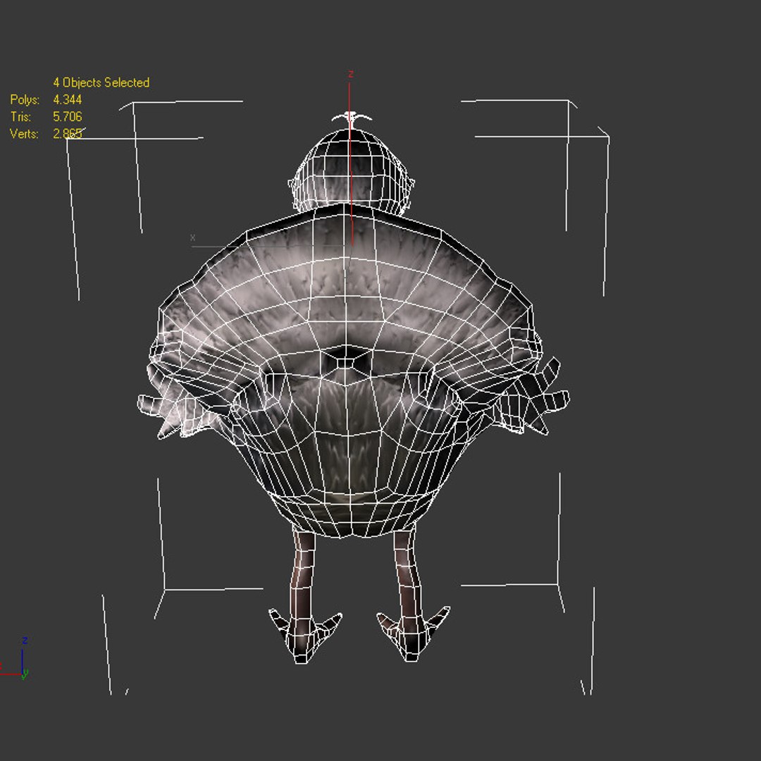 3d Old Bird Animation