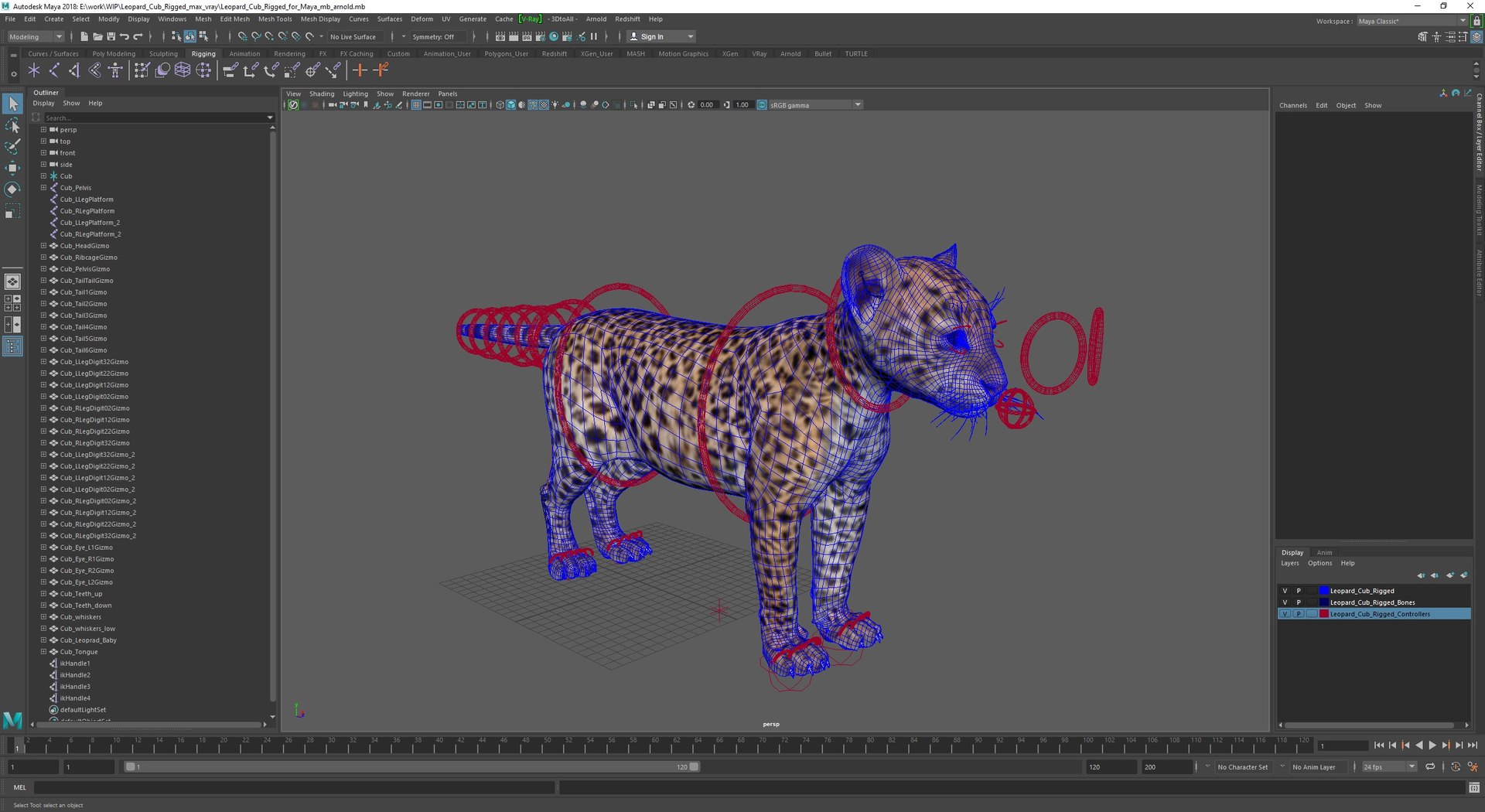 Leopard Cub Rigged For Maya 3D Model - TurboSquid 2382495