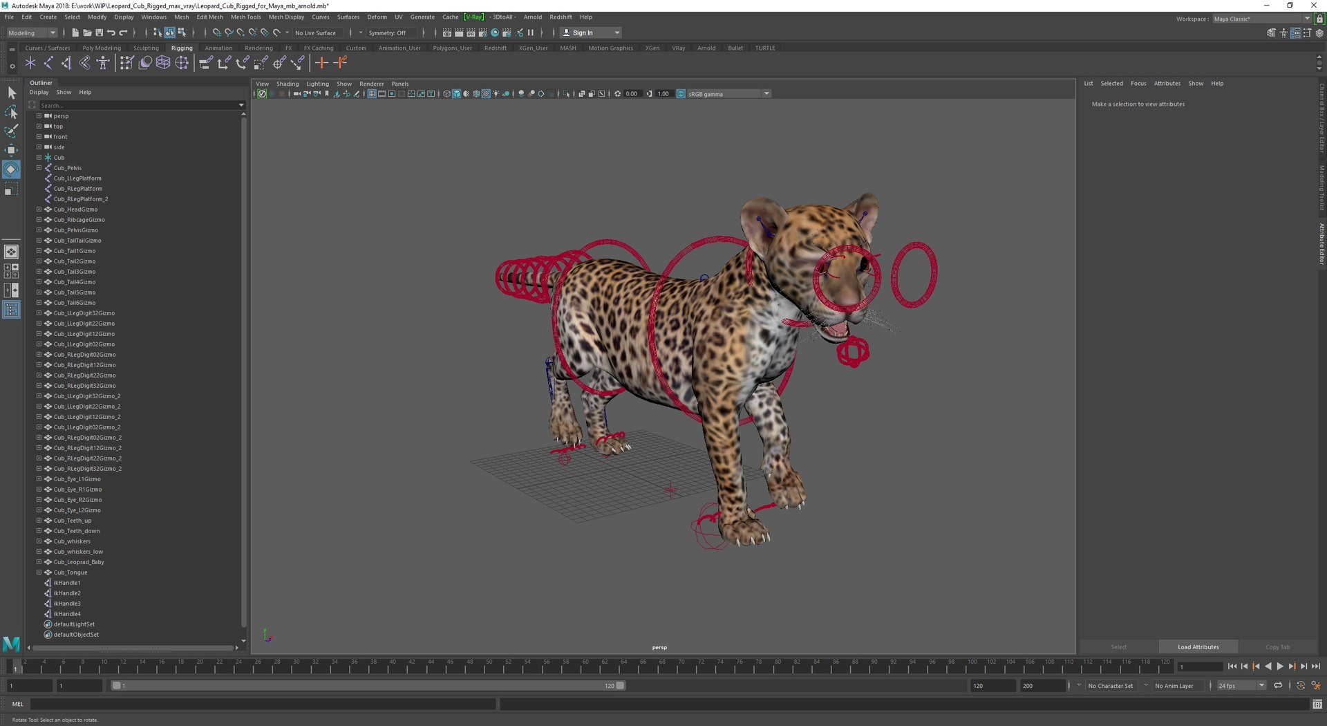 Leopard Cub Rigged For Maya 3D Model - TurboSquid 2382495