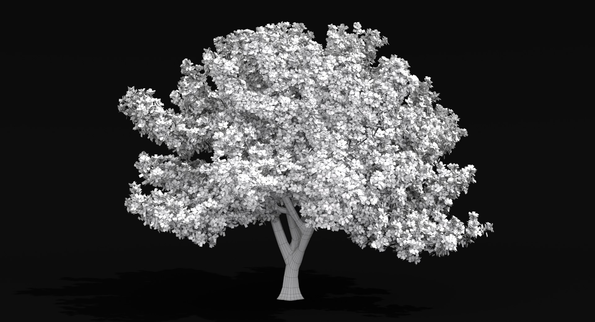 Oak Tree 3d Max