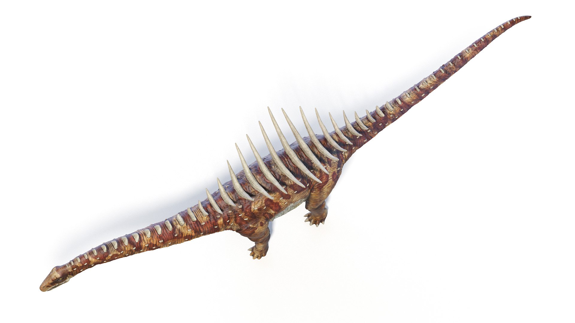 Agustinia Static Model - TurboSquid 1896874