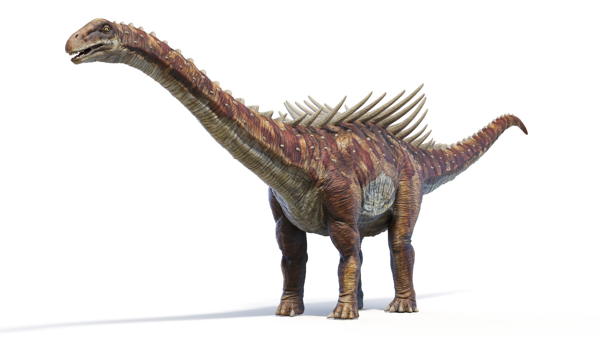 Agustinia Static Model - TurboSquid 1896874