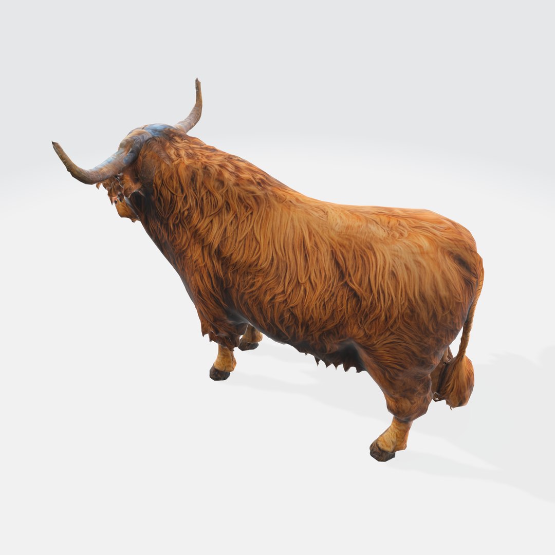 3D A Shaggy Reddish Brown Highland Cow Model - TurboSquid 2260138