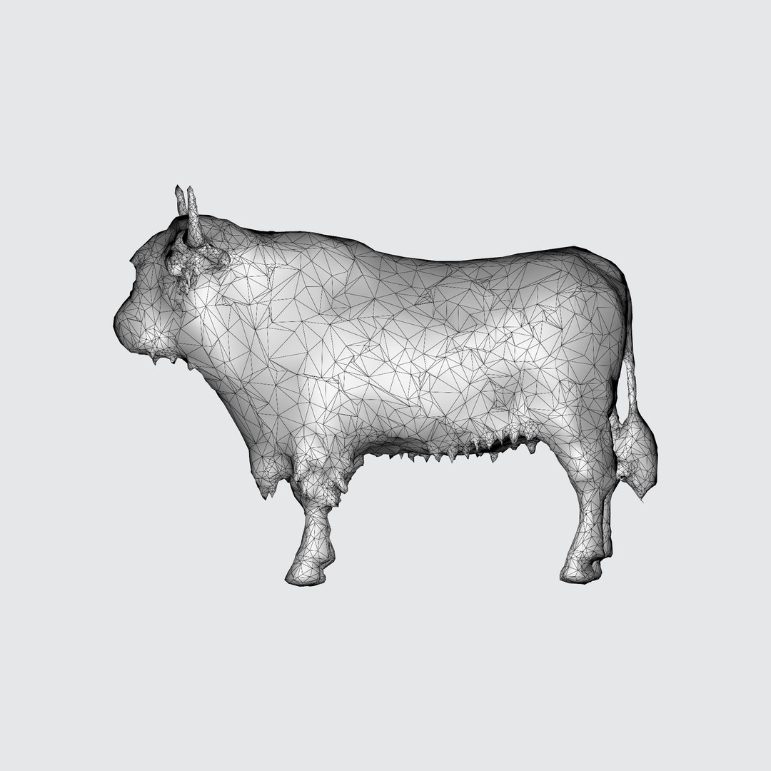 3D A Shaggy Reddish Brown Highland Cow Model - TurboSquid 2260138