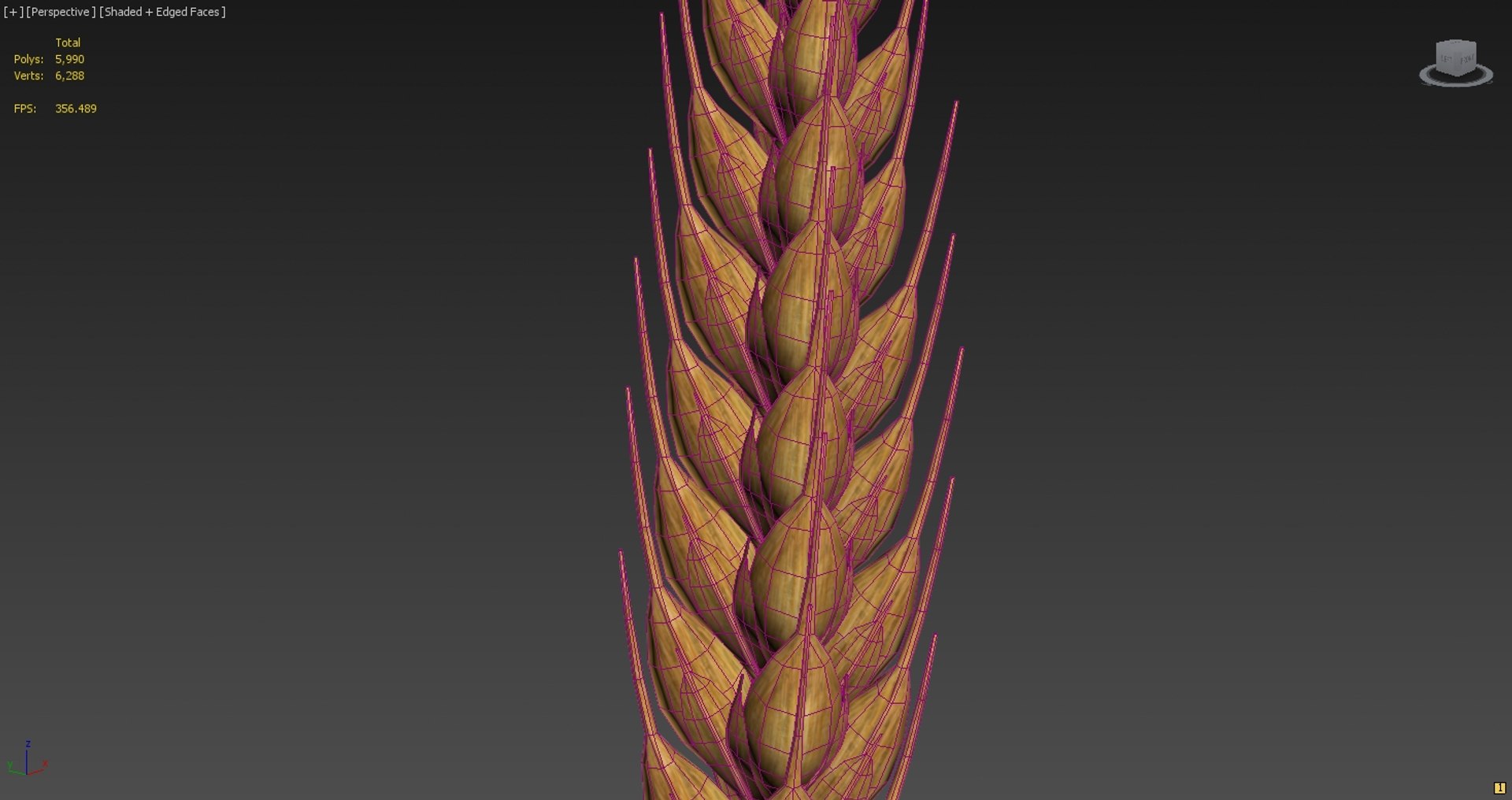 3D Model Photorealistic Wheat - TurboSquid 1608446