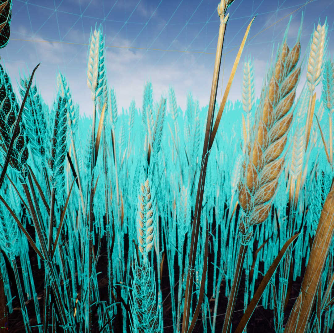 3D Model Photorealistic Wheat - TurboSquid 1608446