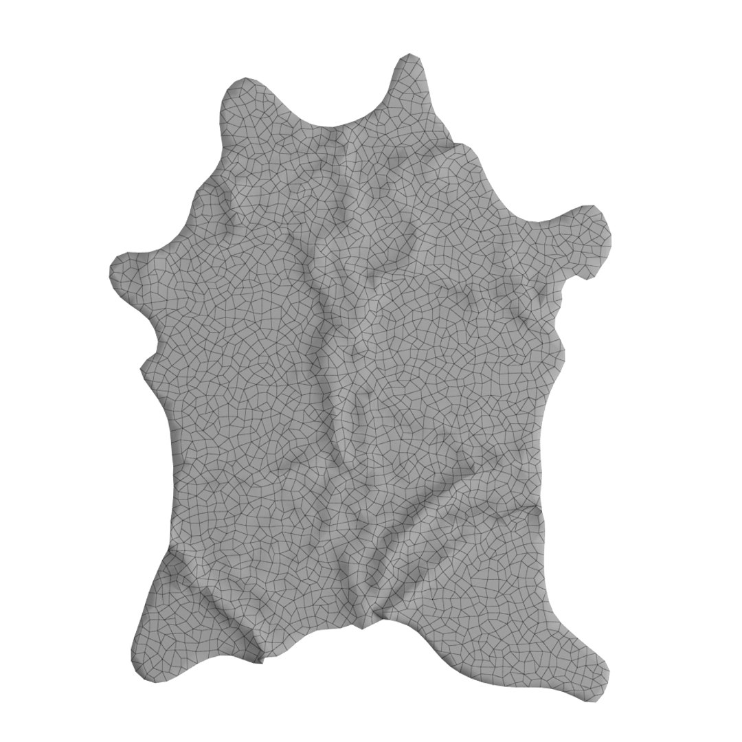 Animal skin rug 15 model - TurboSquid 1787046