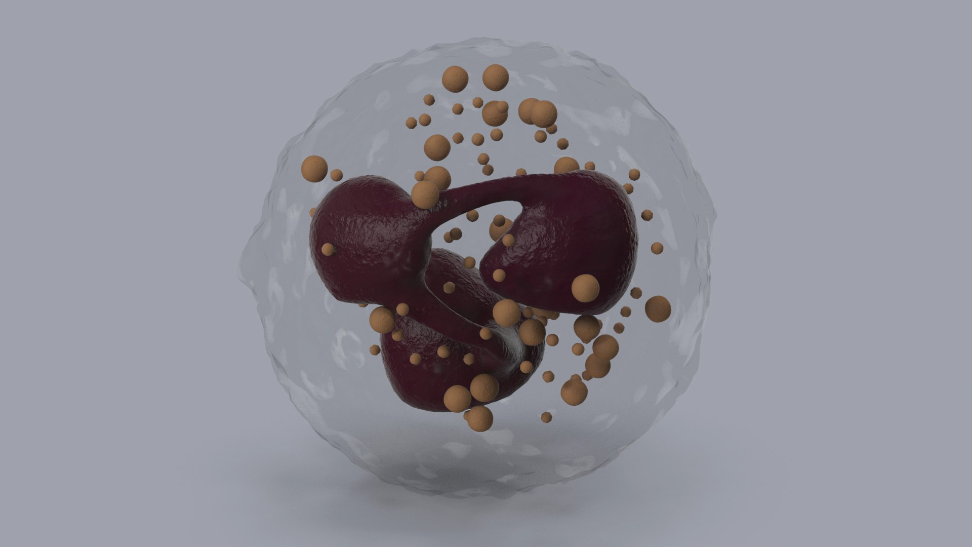 3D Blood Cells Collection 2 - TurboSquid 2166861