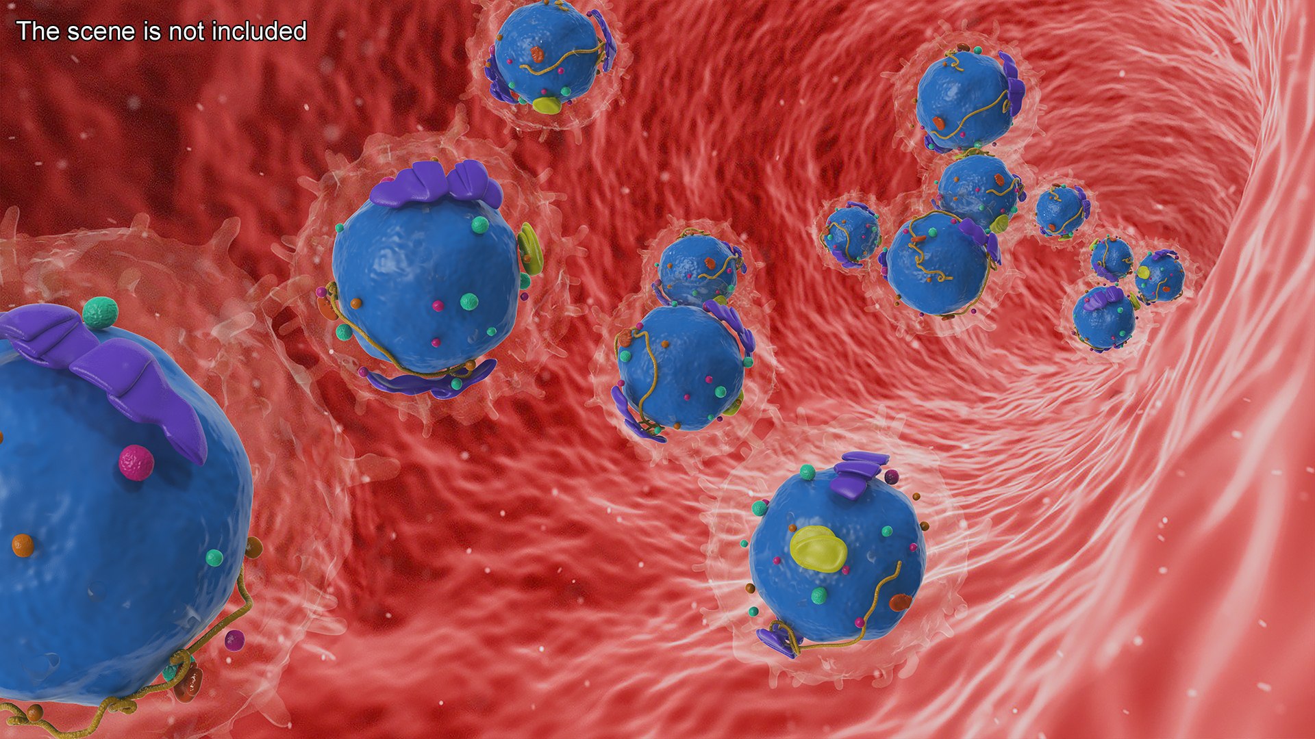 3D Blood Cells Collection 2 - TurboSquid 2166861
