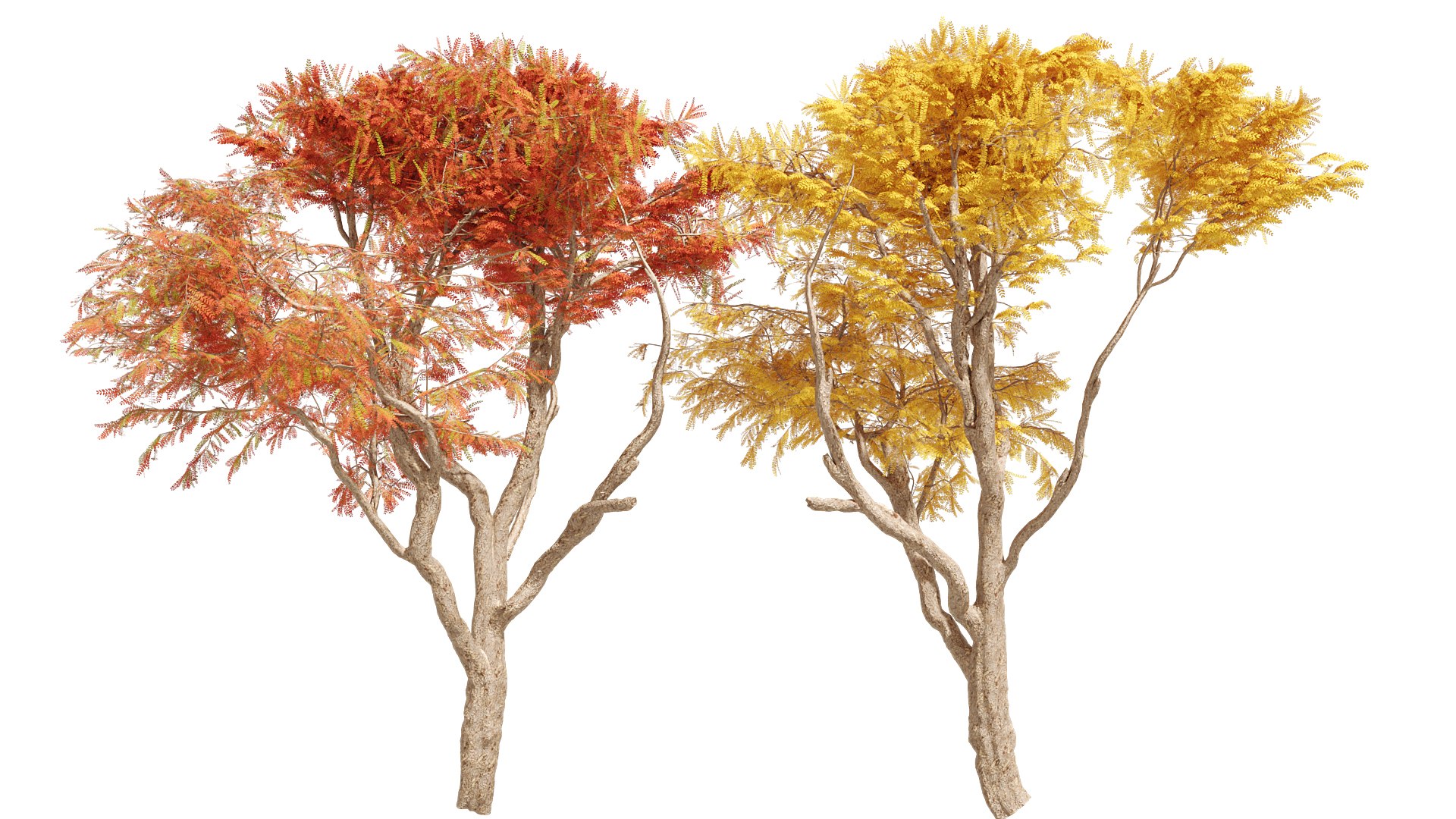 3D Tree Autumn - TurboSquid 2191612