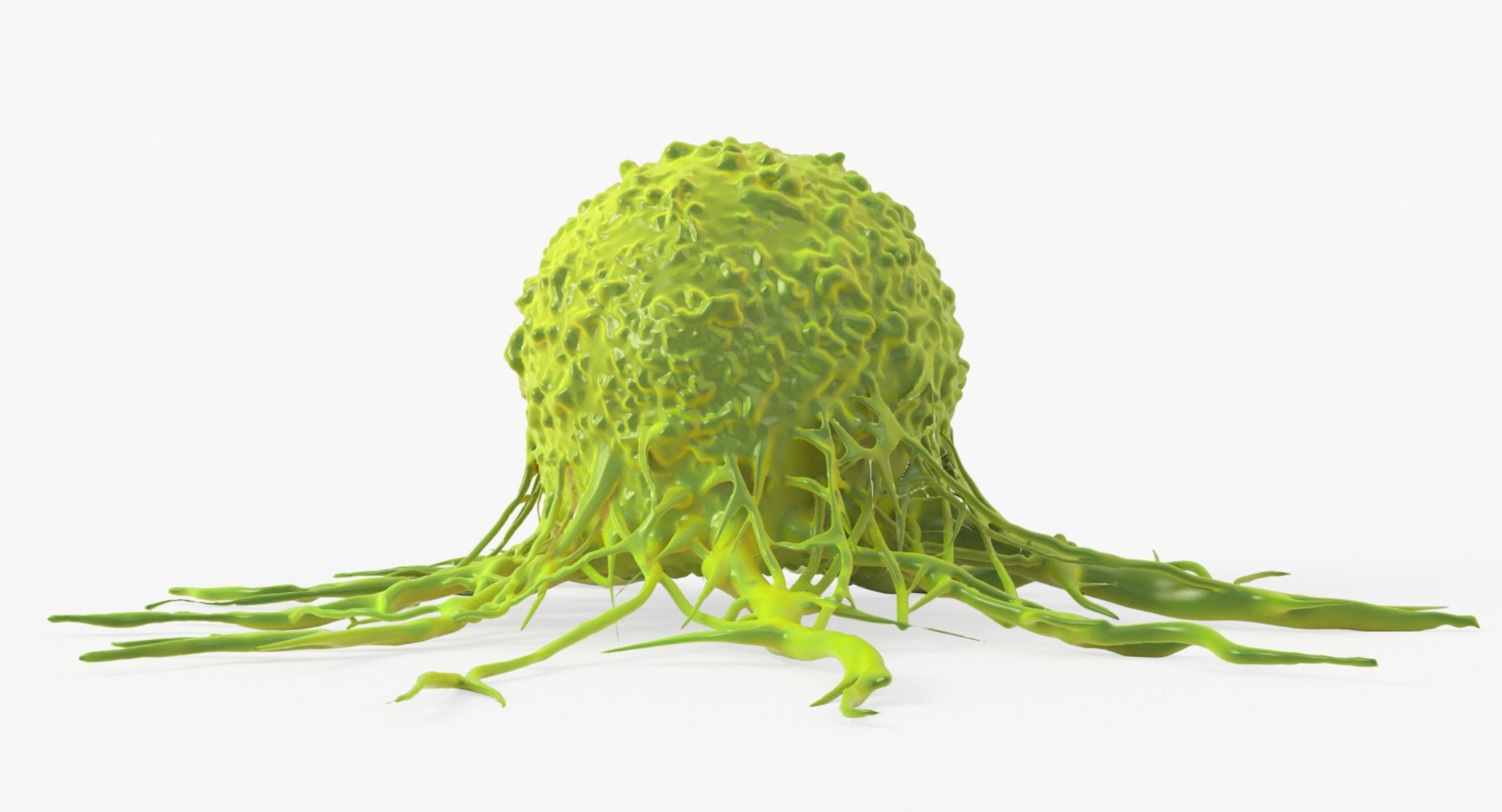 Cancer Cell 3D - TurboSquid 1359774