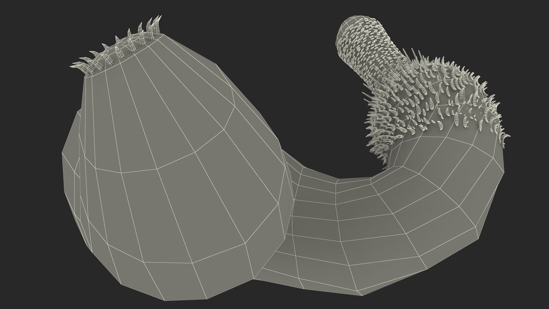 Ottoia Relict Marine Worm Fossil Model - TurboSquid 2179994