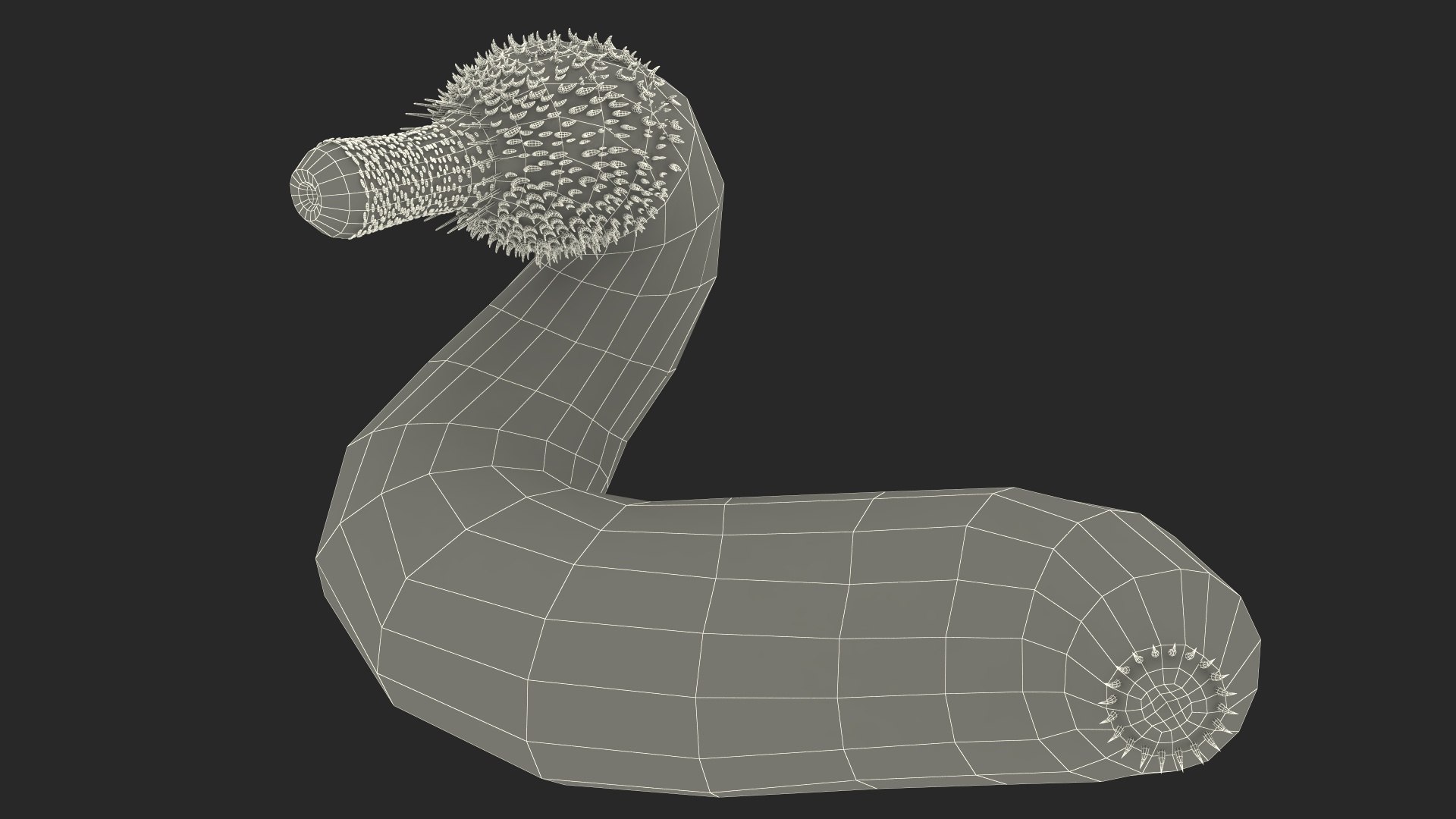Ottoia Relict Marine Worm Fossil Model - TurboSquid 2179994