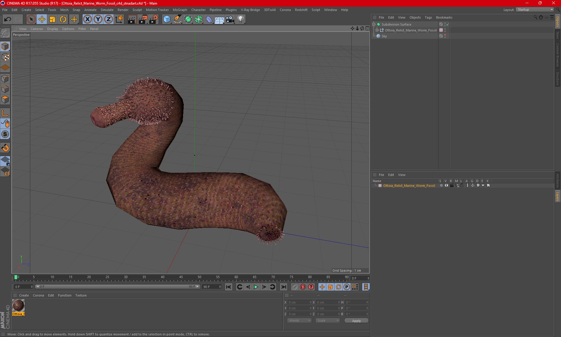 Ottoia Relict Marine Worm Fossil Model - TurboSquid 2179994