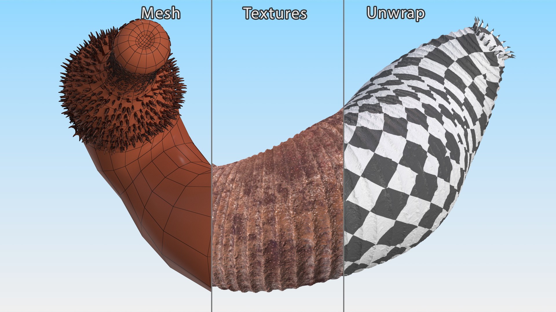 Ottoia Relict Marine Worm Fossil Model - TurboSquid 2179994