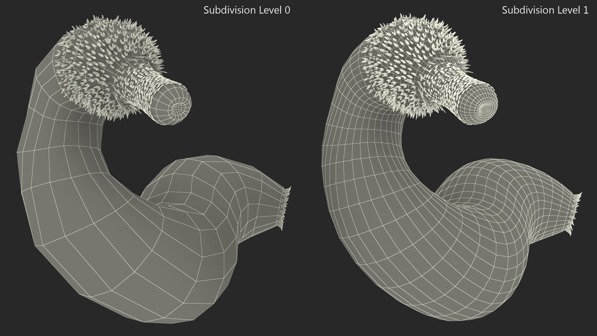 Ottoia Relict Marine Worm Fossil Model - TurboSquid 2179994