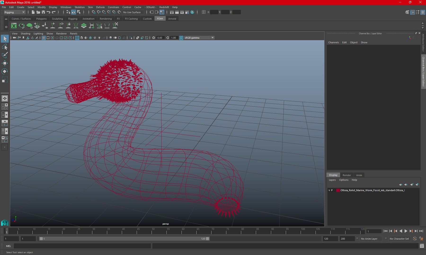 Ottoia Relict Marine Worm Fossil Model - TurboSquid 2179994