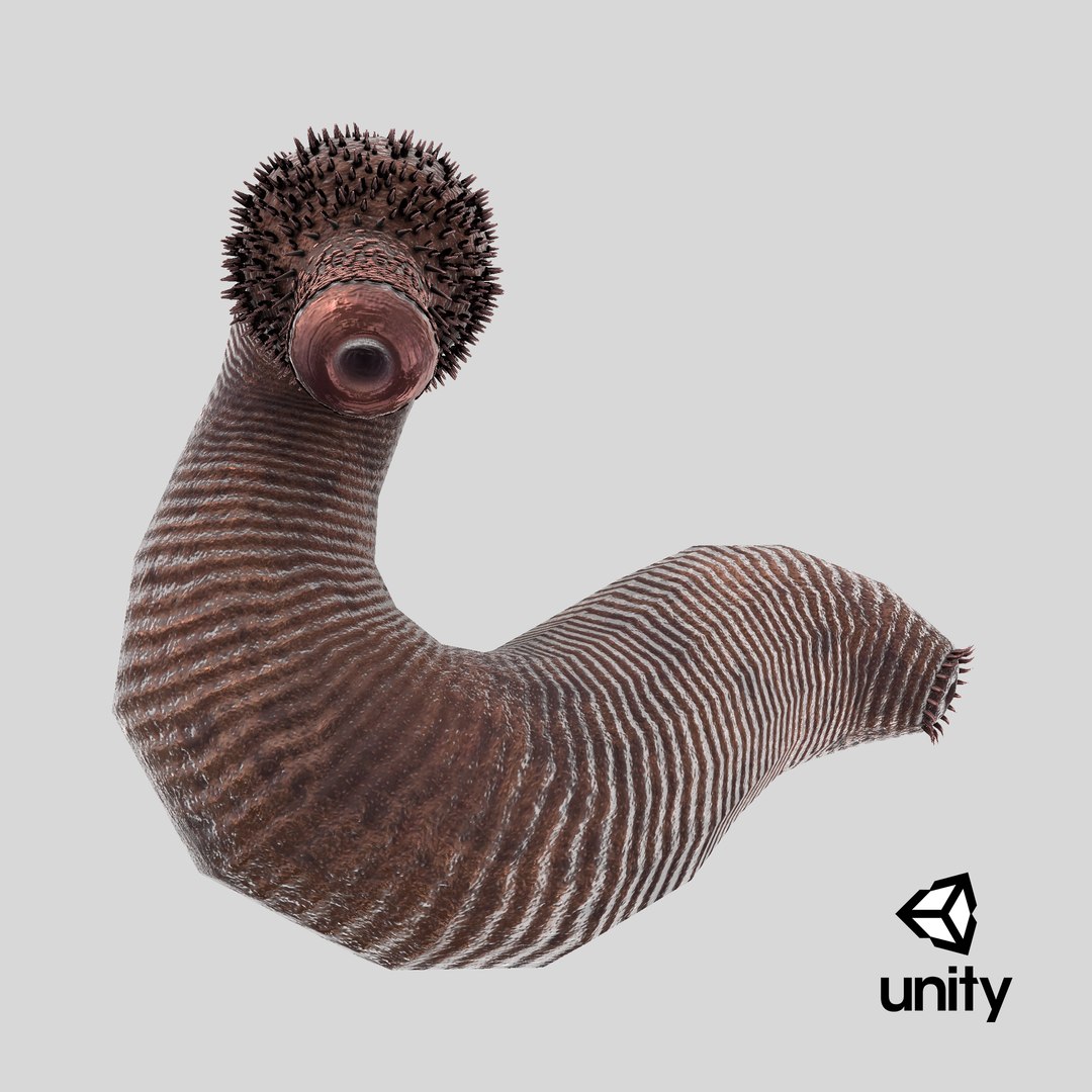 Ottoia Relict Marine Worm Fossil Model - TurboSquid 2179994