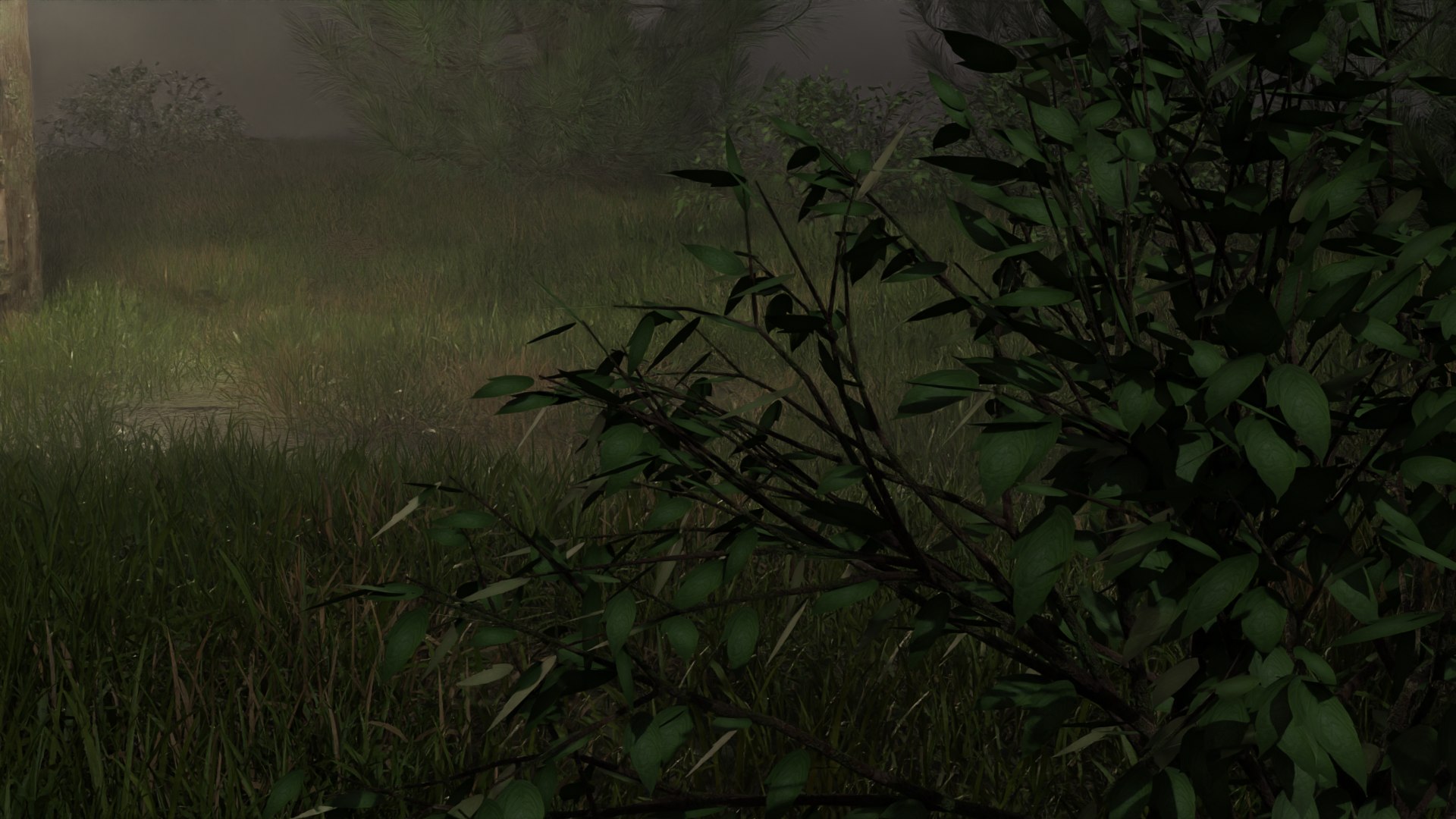 Realistic Treehouse 3D Model - TurboSquid 2098711