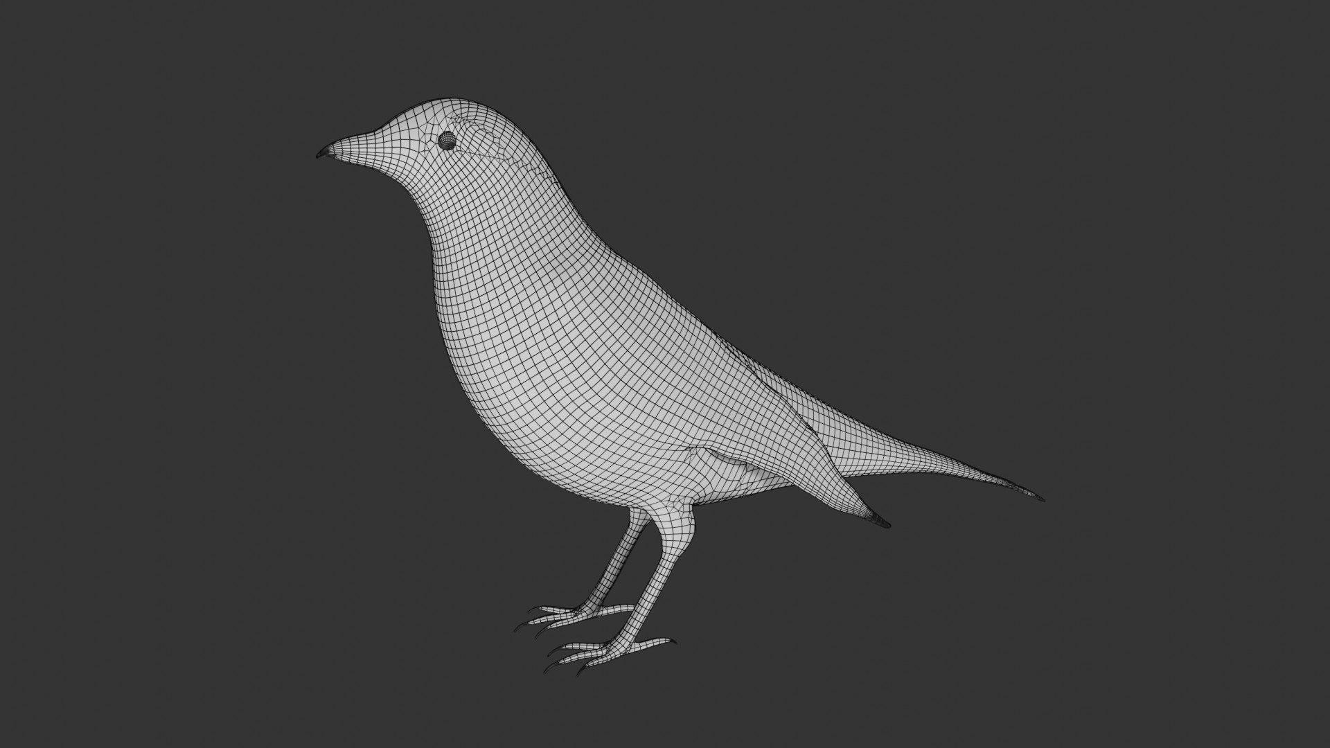 Fully Rigged low poly Mocking bird 3D model - TurboSquid 1760554