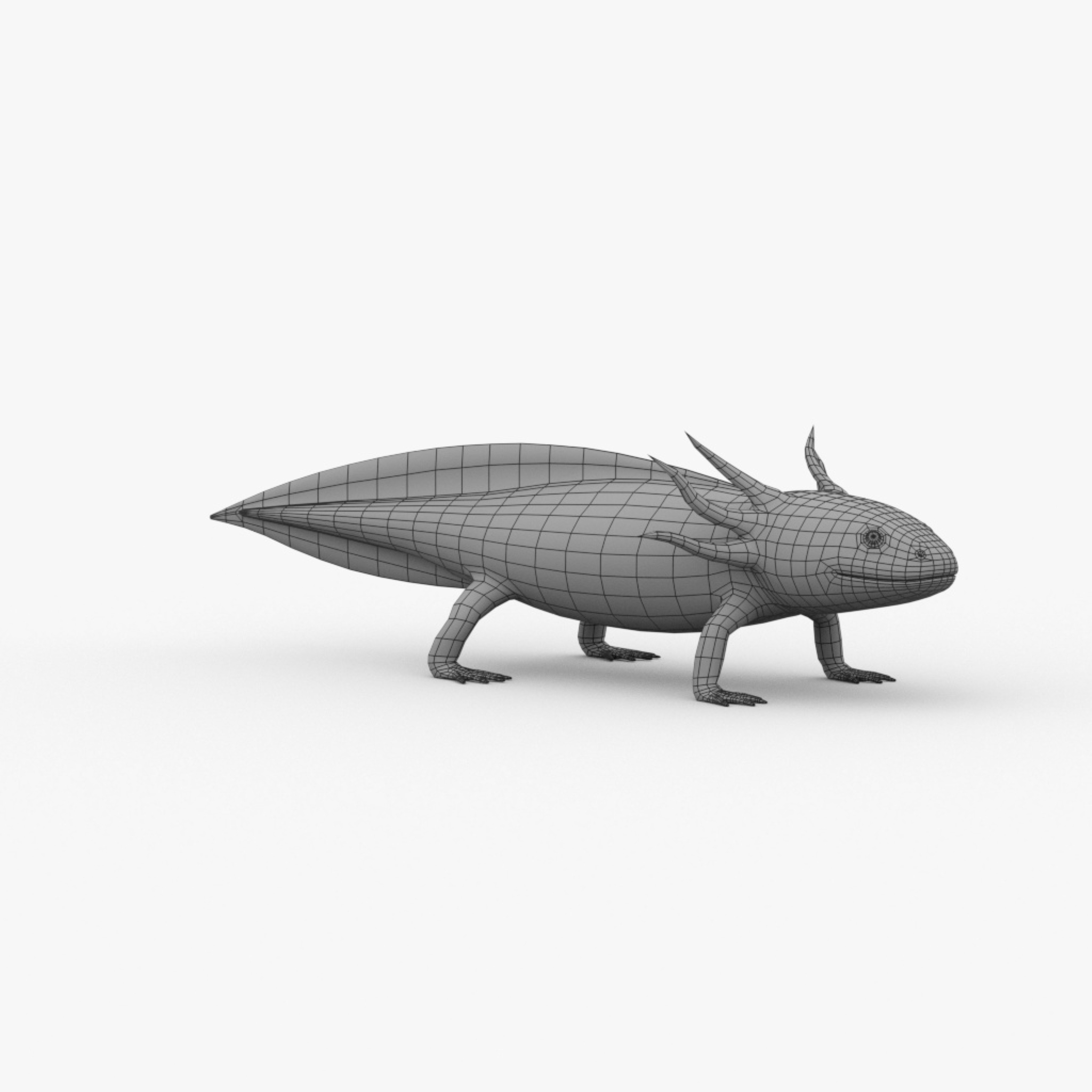 modelo 3d axolotl basemesh - TurboSquid 2006860