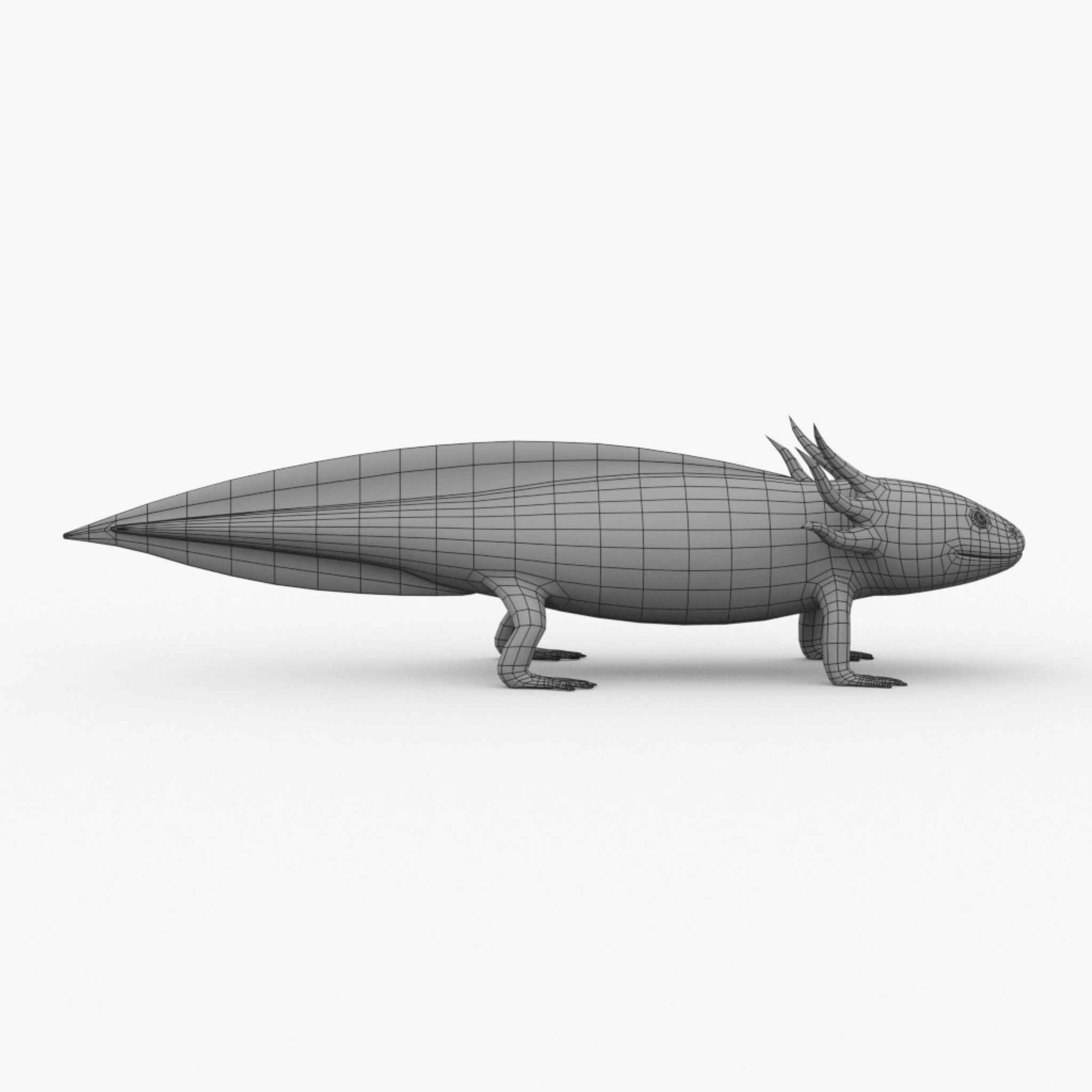 modelo 3d axolotl basemesh - TurboSquid 2006860