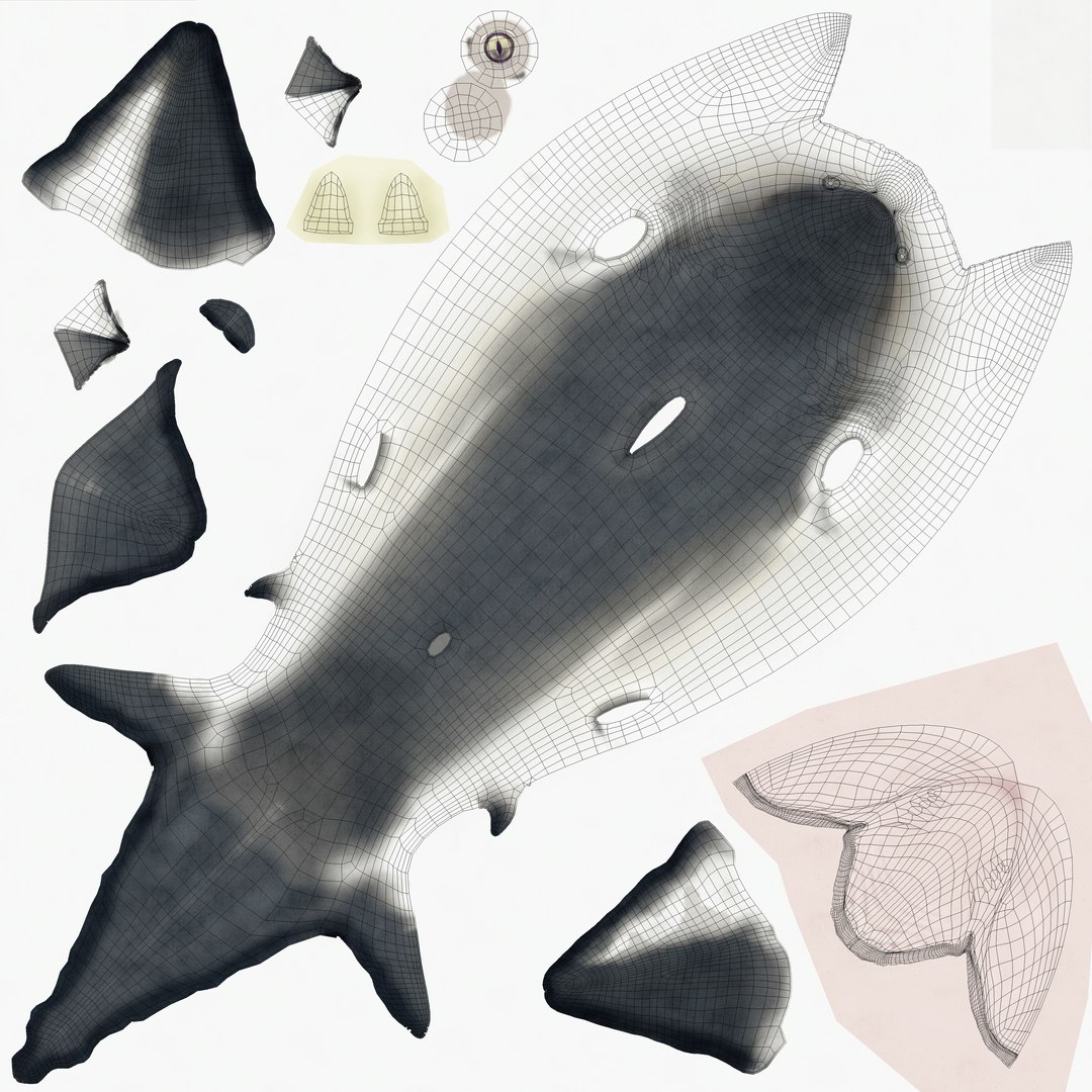 3d Caribbean Reef Shark Pose Model