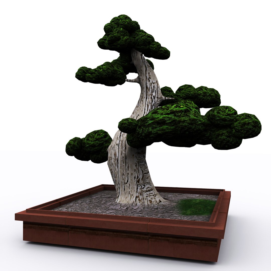 3D Bonsai Tree - TurboSquid 1494676