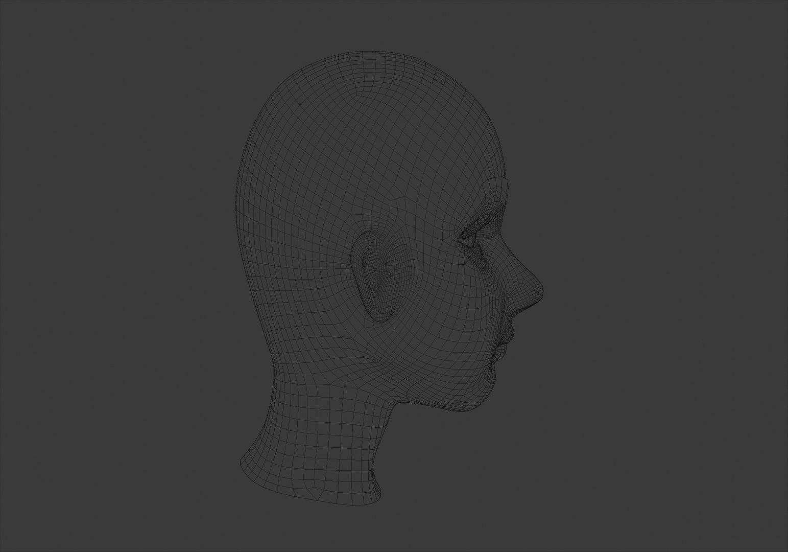 High Poly Head Model - TurboSquid 1959371