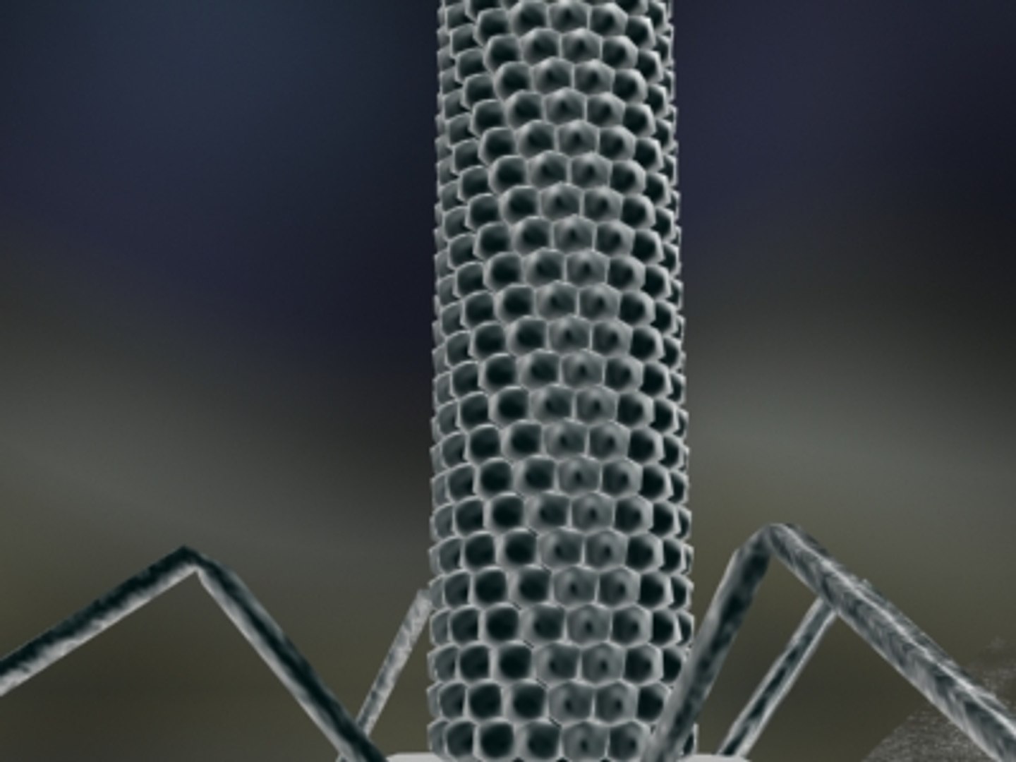 3D Bacteriophage Virus - TurboSquid 414953