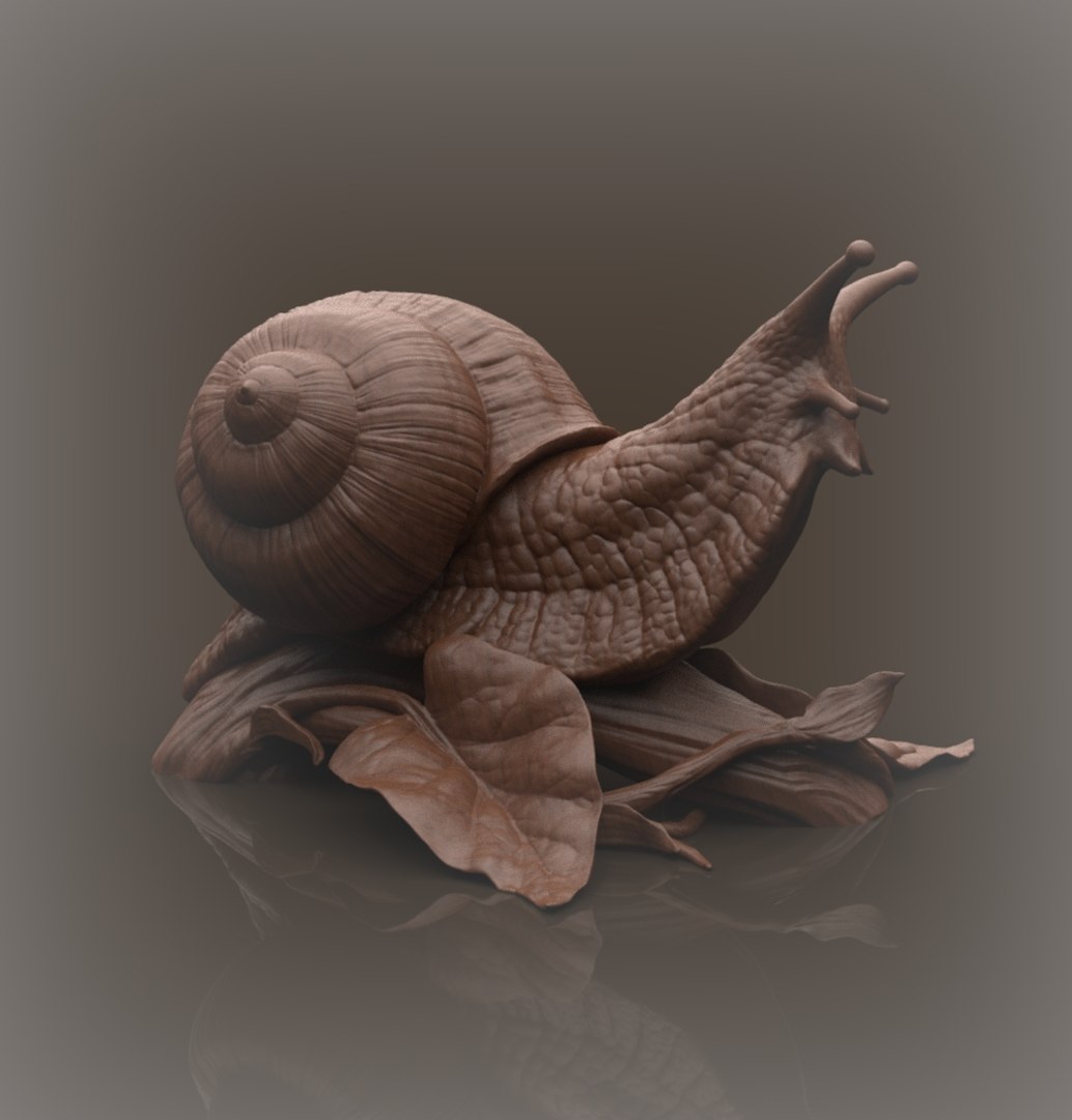Snail Model - TurboSquid 1260951