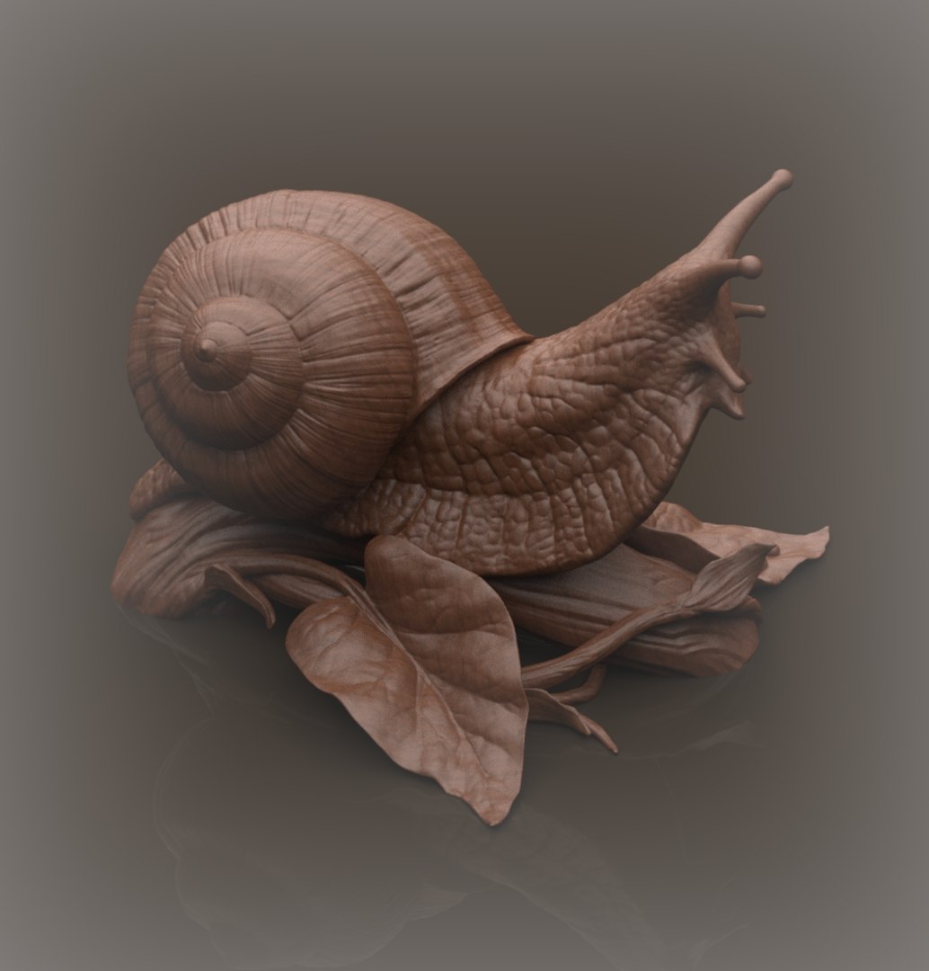 Snail Model - TurboSquid 1260951