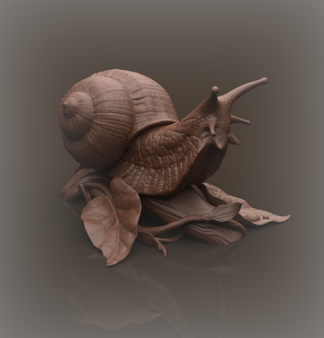 Snail Model - TurboSquid 1260951