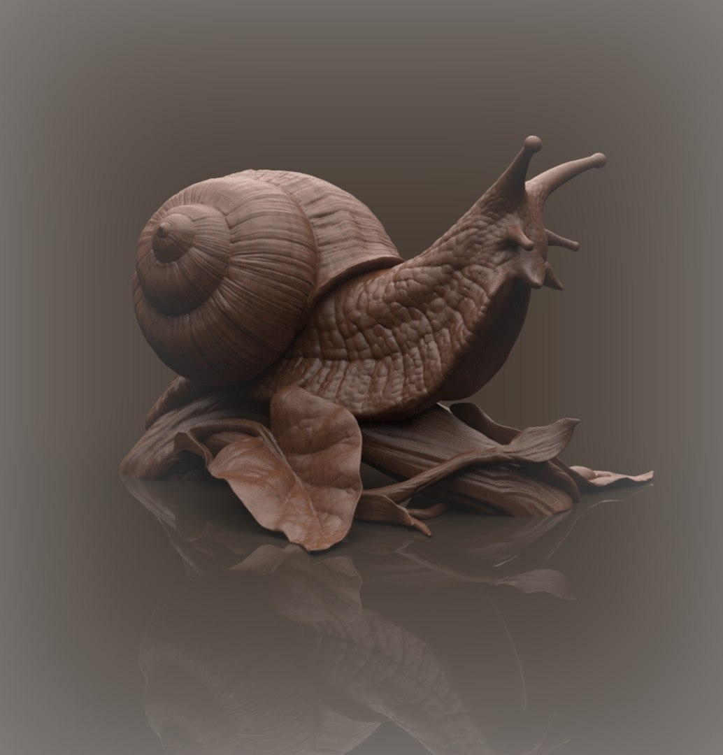 Snail Model - TurboSquid 1260951