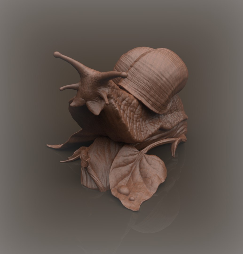 Snail Model - TurboSquid 1260951