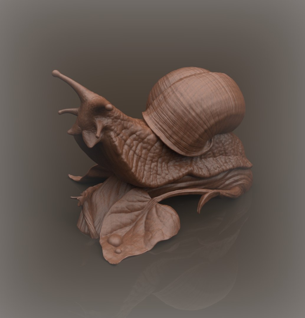 Snail model - TurboSquid 1260951