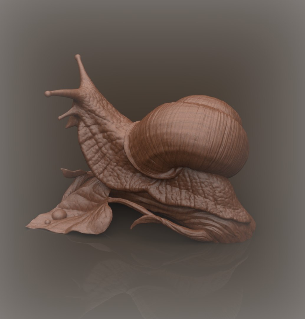 Snail Model - TurboSquid 1260951