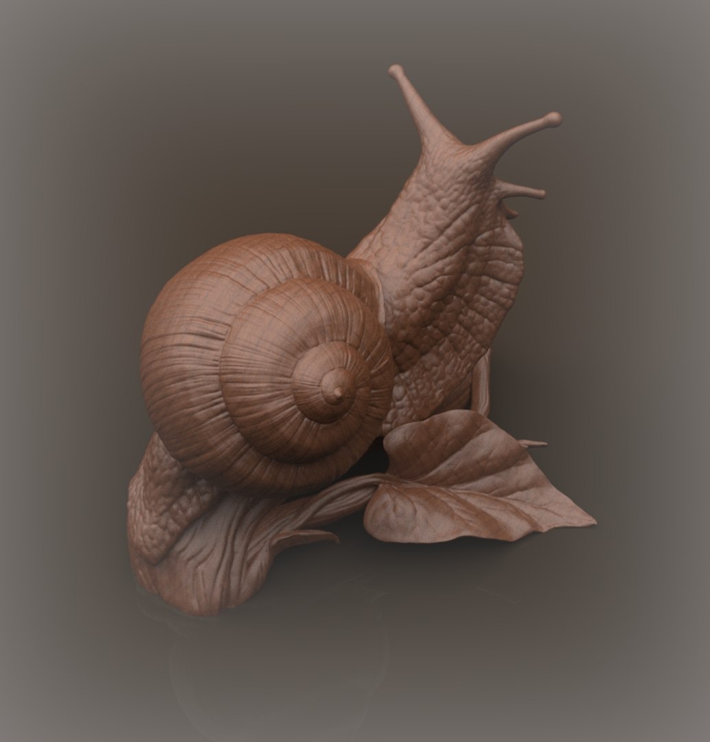 Snail Model - TurboSquid 1260951