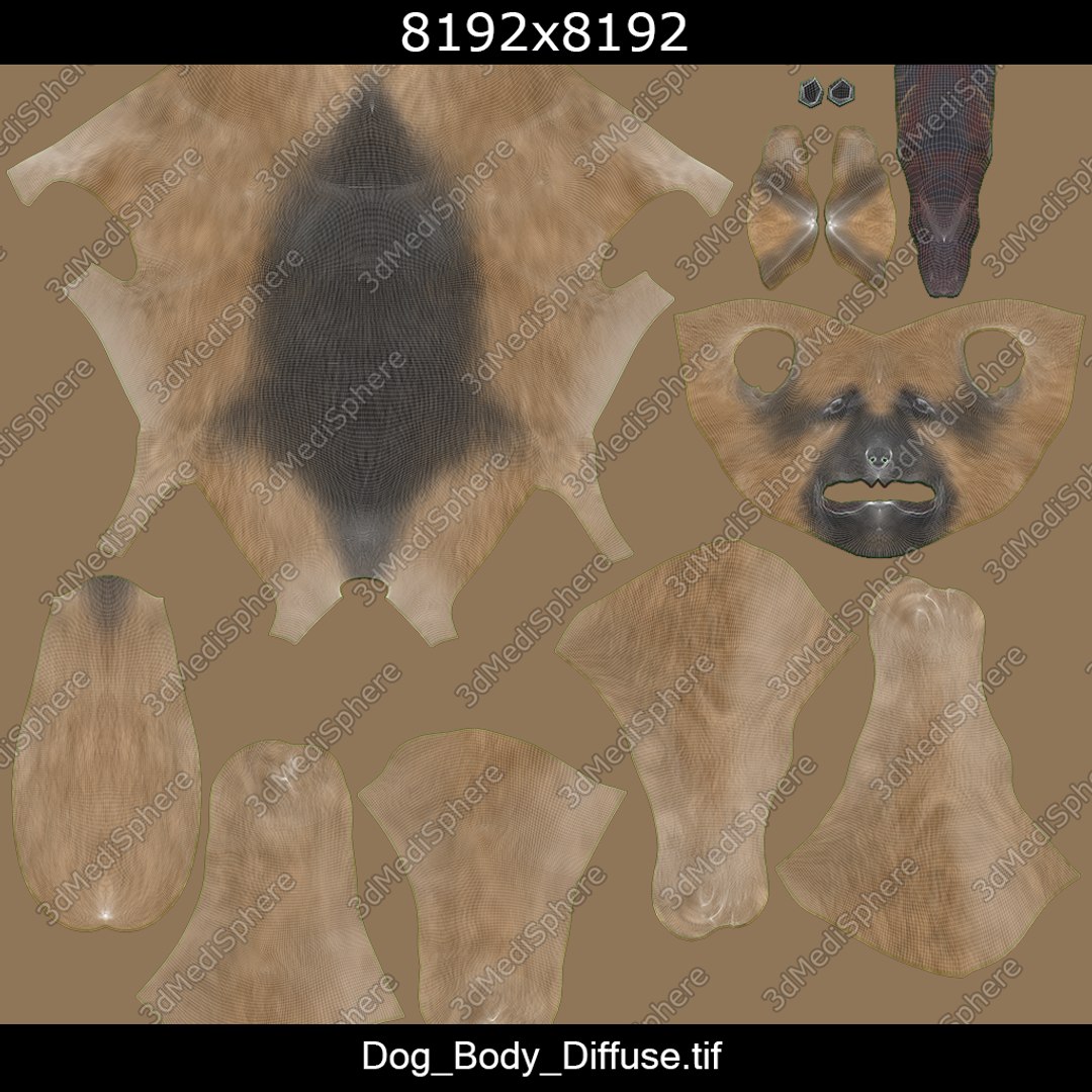 3D Skin Dog Body Animation - TurboSquid 1461090