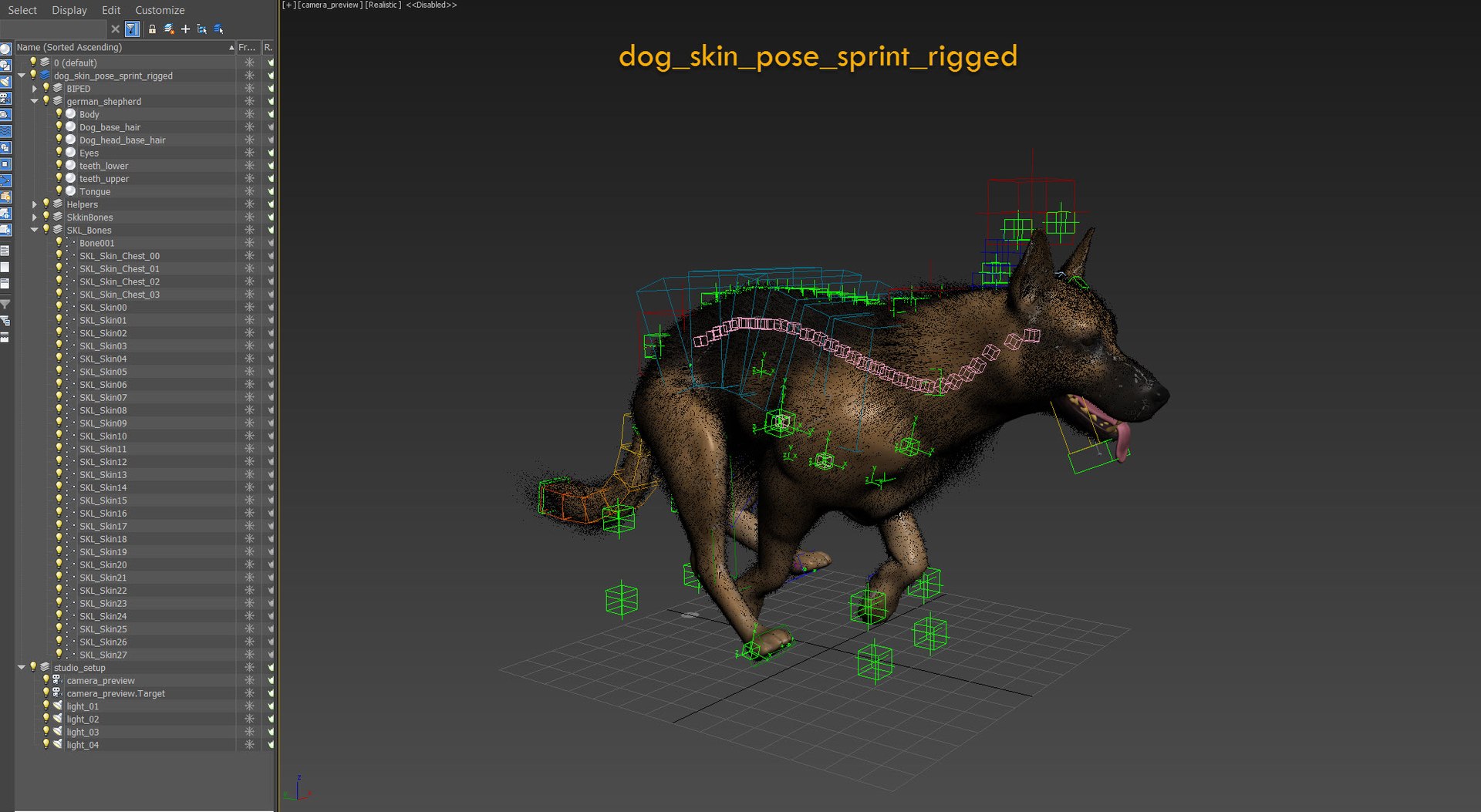 3D Skin Dog Body Animation - TurboSquid 1461090