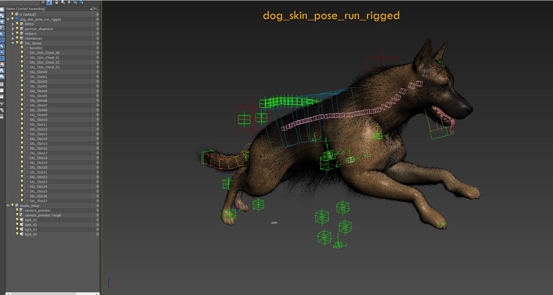 3D Skin Dog Body Animation - TurboSquid 1461090