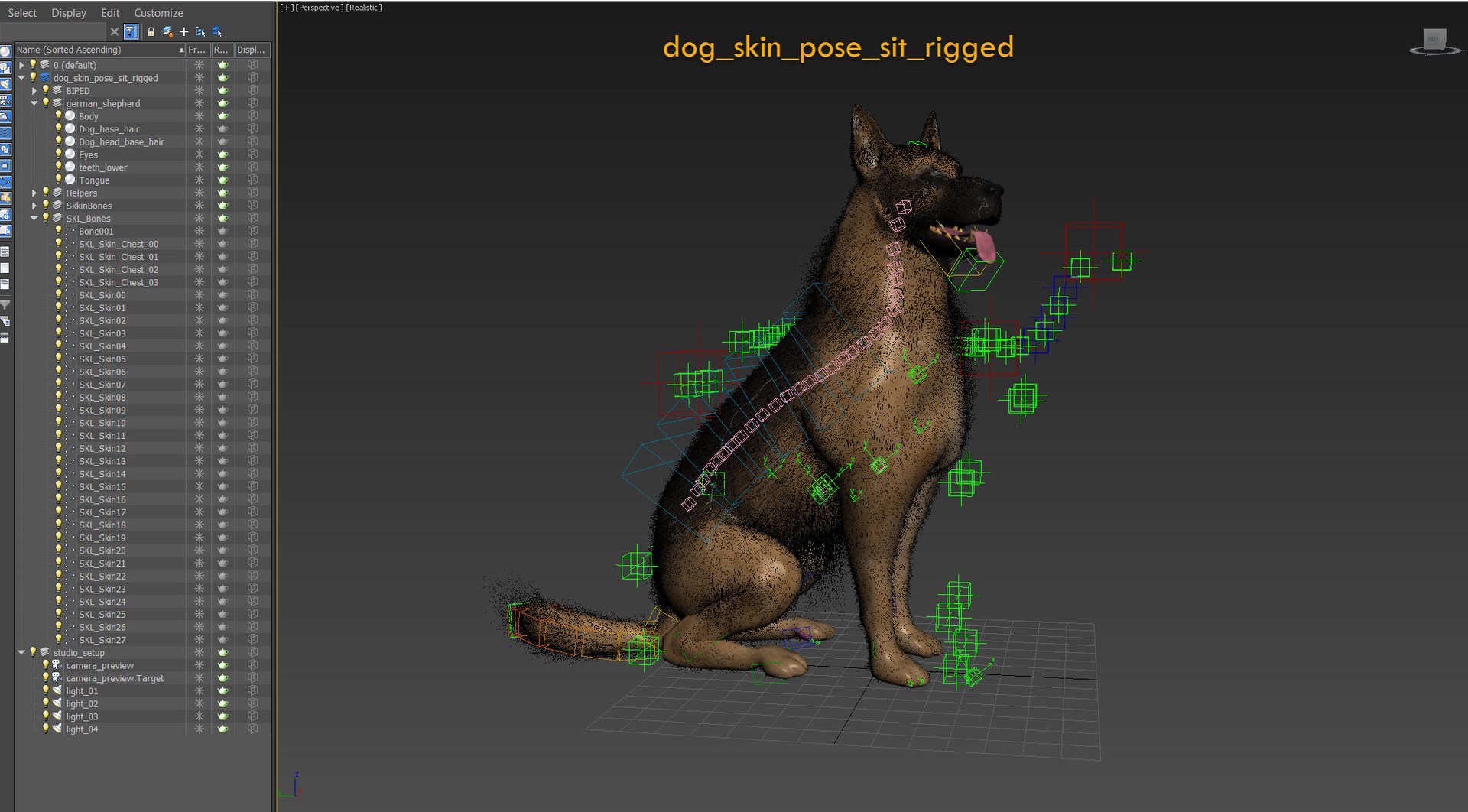 3D Skin Dog Body Animation - TurboSquid 1461090