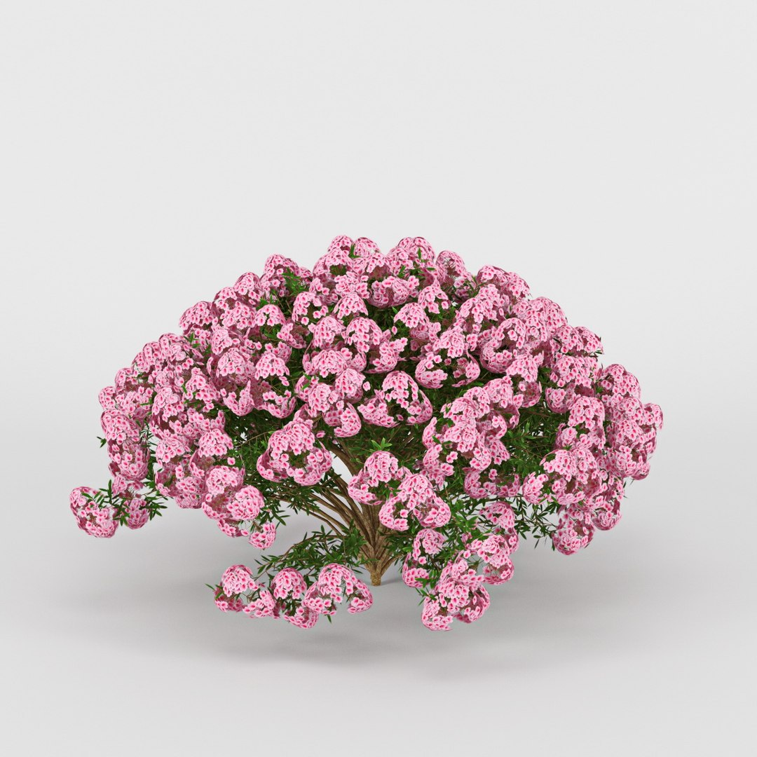 Max Azalea Flower