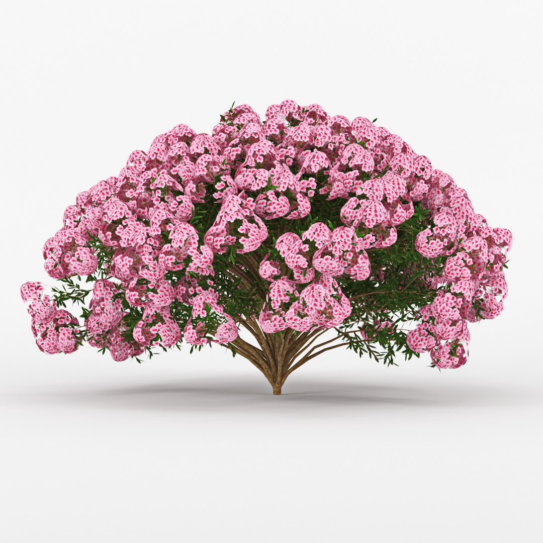 Max Azalea Flower