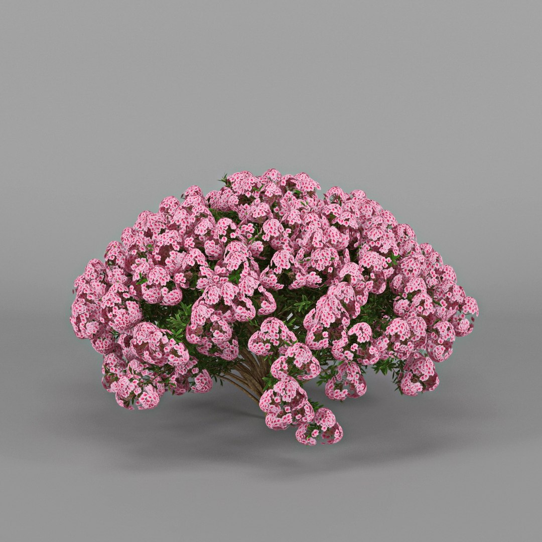 Max Azalea Flower