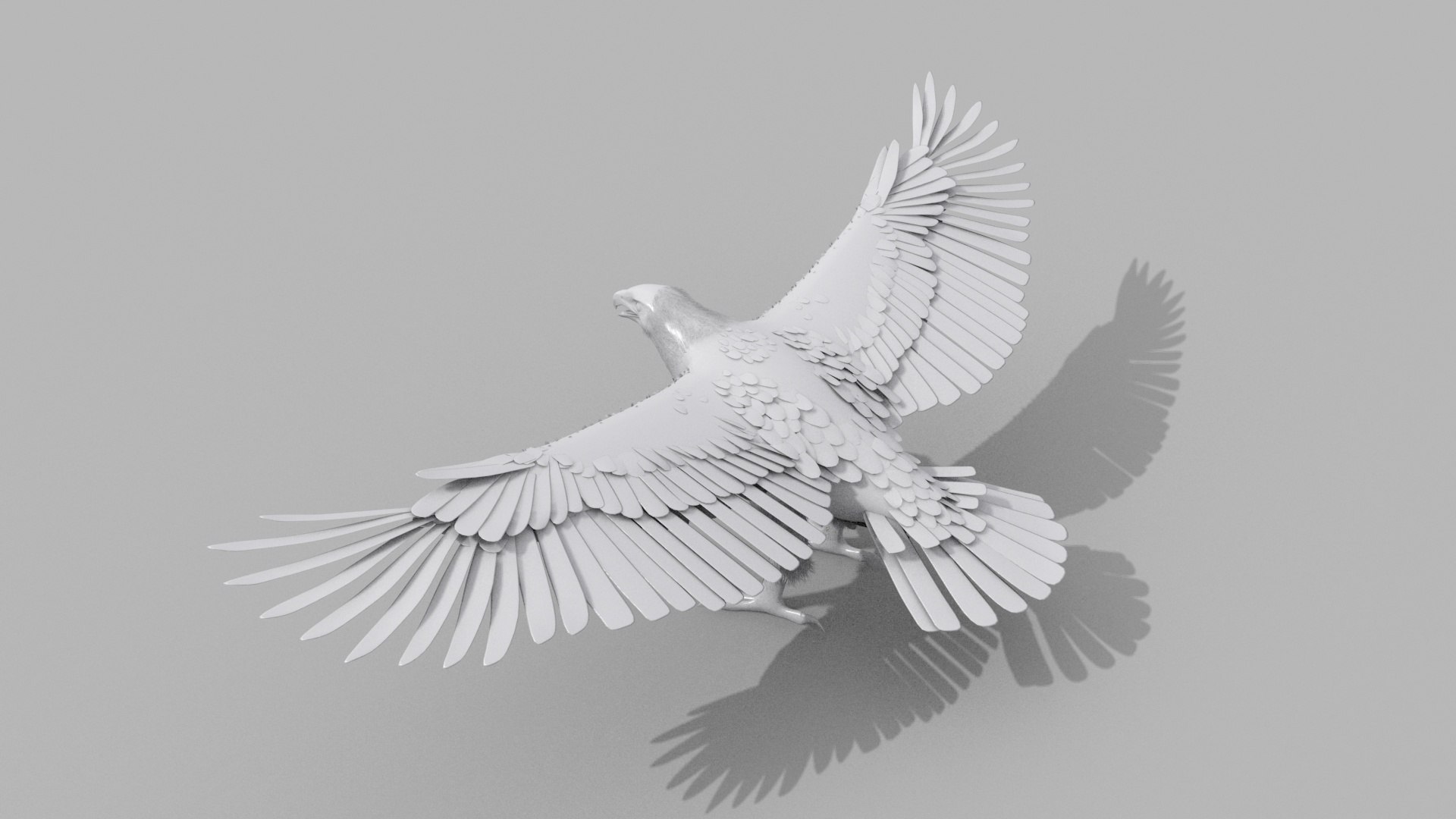 Eagle Aguia Shape 3D Model - TurboSquid 2423768